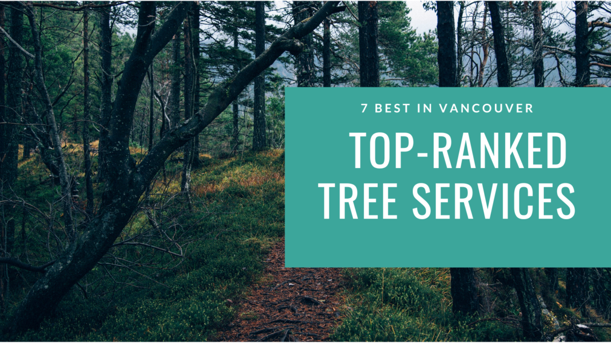 Top-Ranked Tree Services: 7 Best in Vancouver