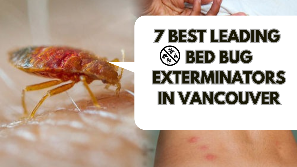 7 Best Leading Bed Bug Exterminators in Vancouver